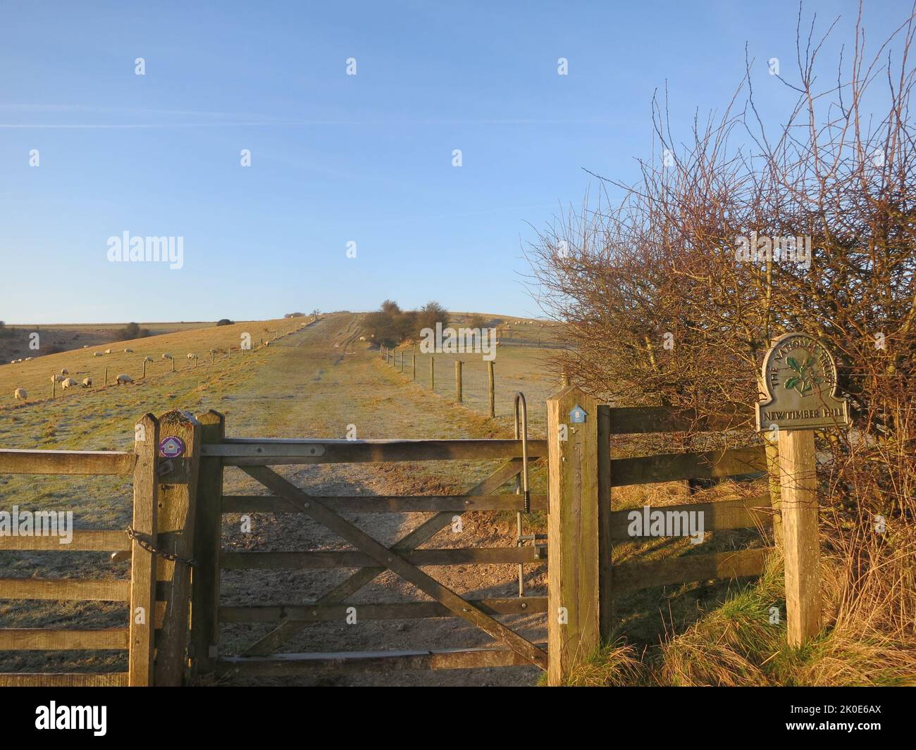 The South Downs Way National trail and park. long distance footpath ...