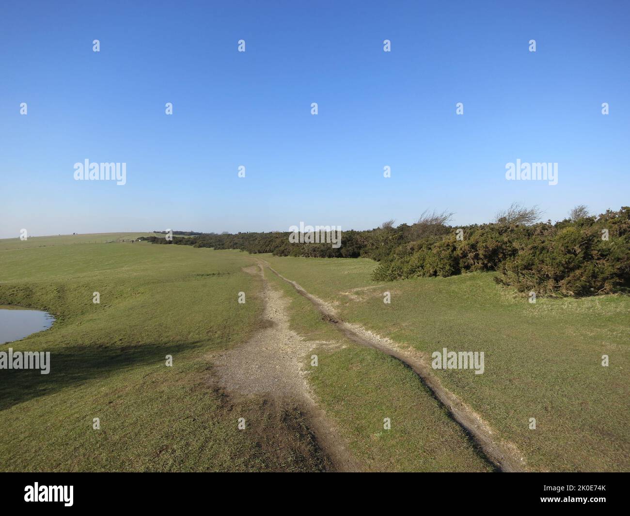 The South Downs Way National trail and park. long distance footpath ...