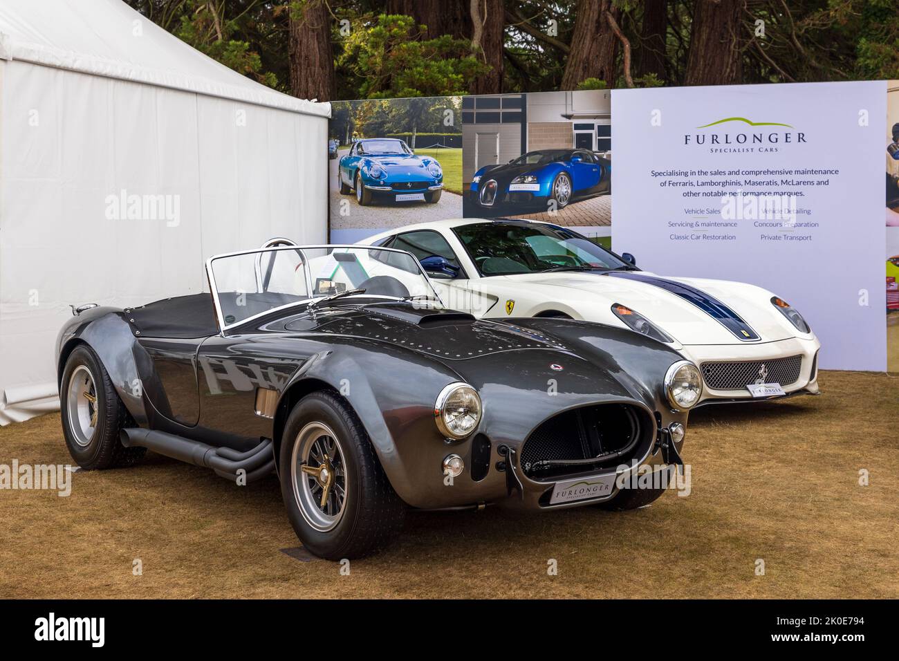 Shelby Cobra 2022 Grey
