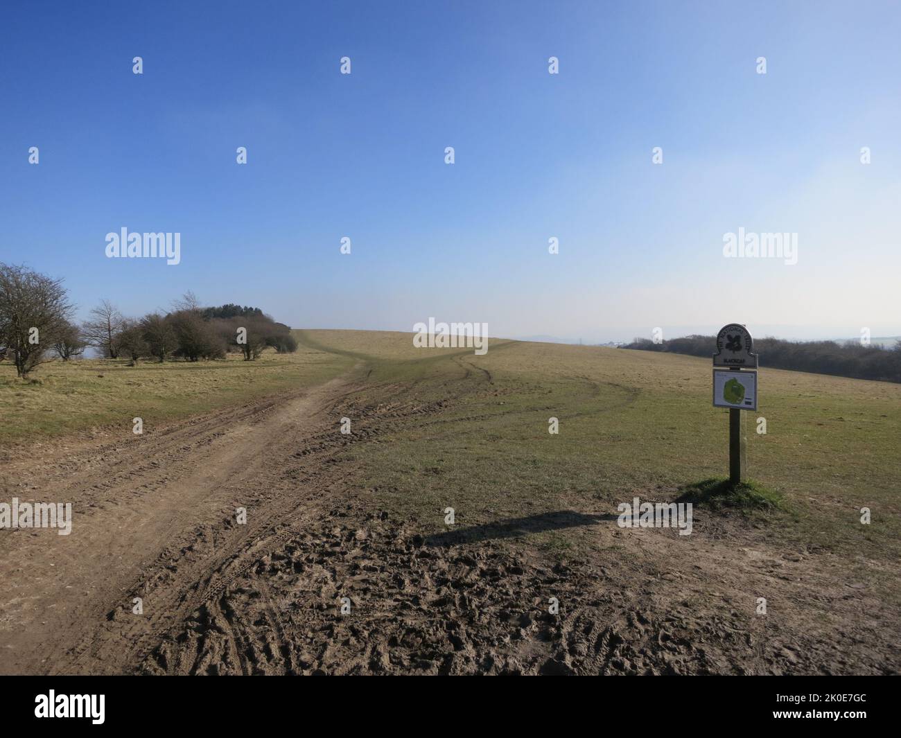 The South Downs Way National trail and park. long distance footpath ...