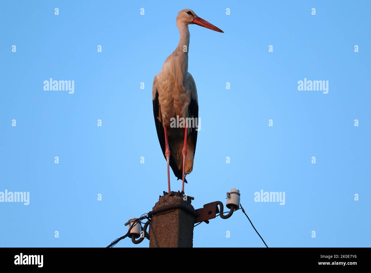 Girl sitting on peak hi-res stock photography and images - Alamy