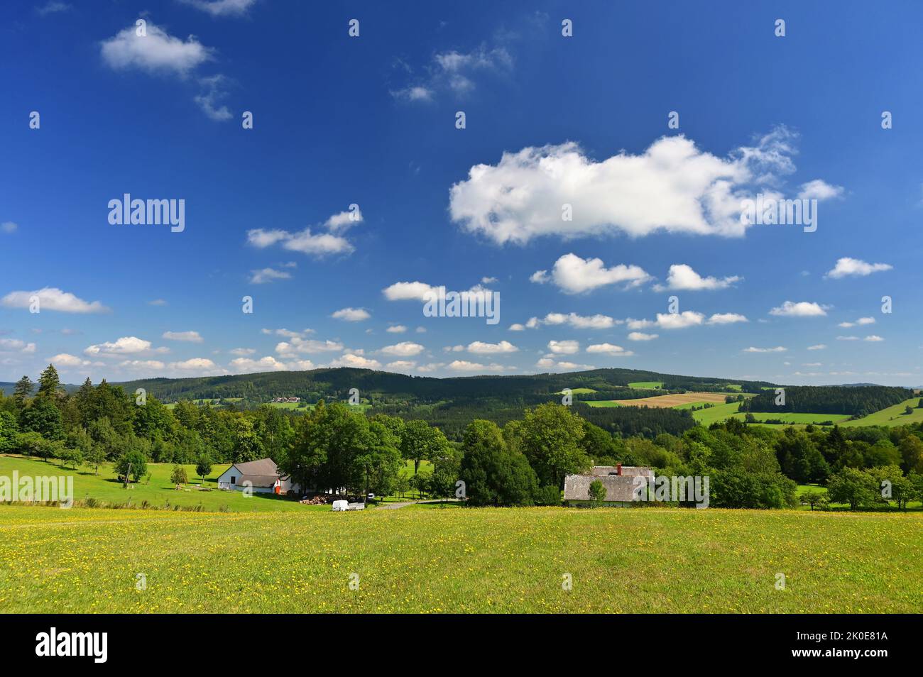Beautiful summer landscape with nature. Meadow with forest and blue sky ...