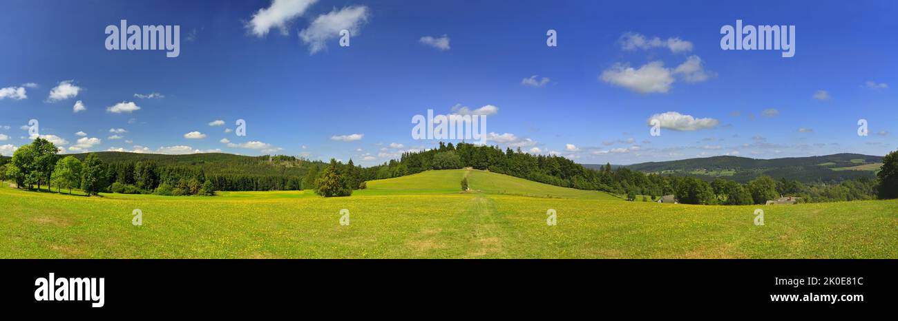 Beautiful summer panorama landscape with nature. Meadow with forest and ...