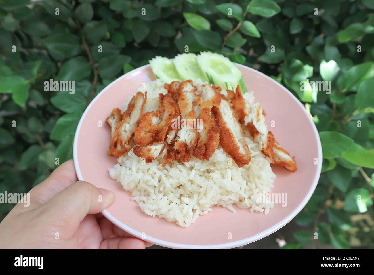 Singapore style chicken chop hi-res stock photography and images - Alamy