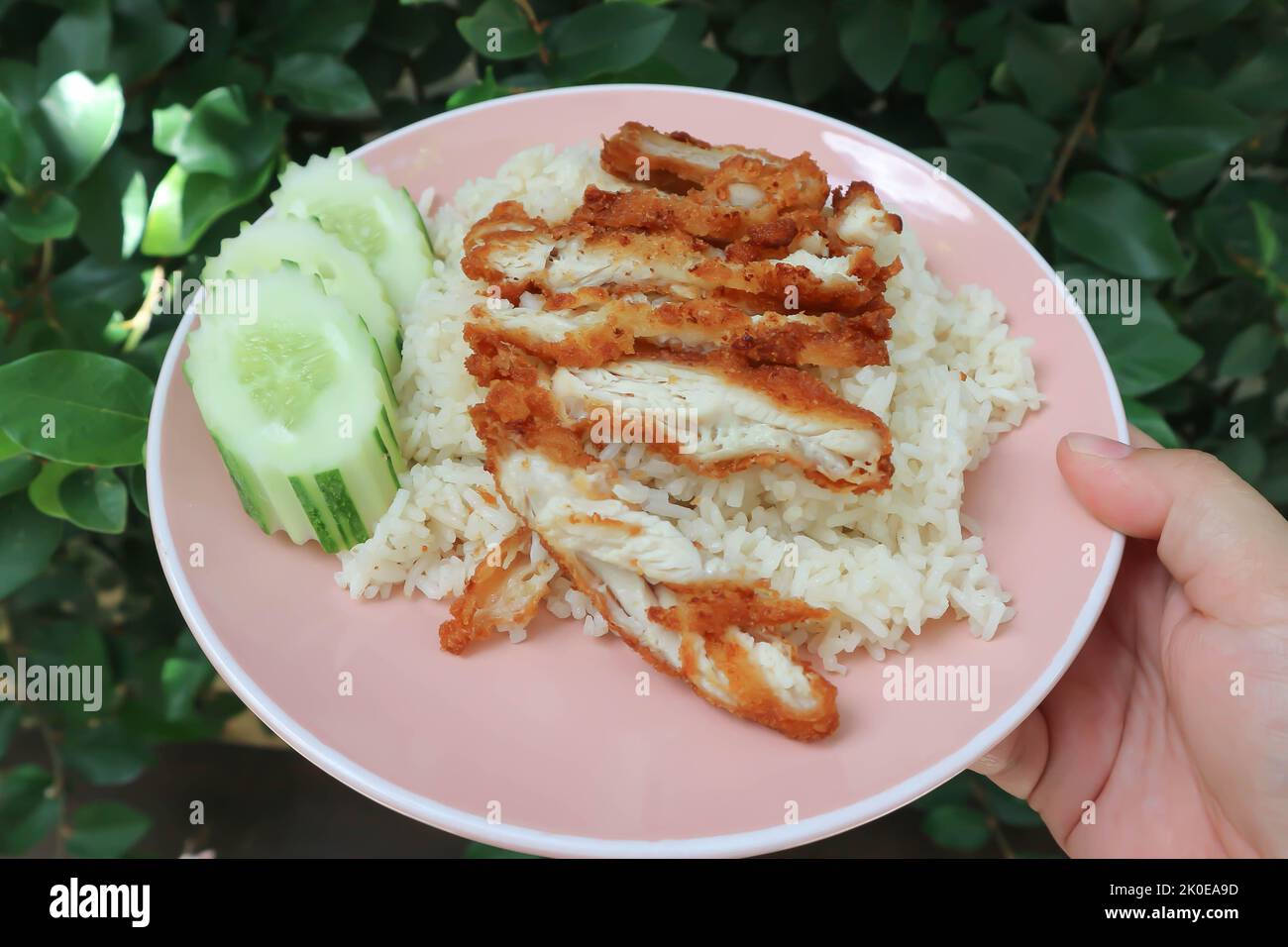 rice topped with chicken or chicken rice or fried chicken and rice in ...