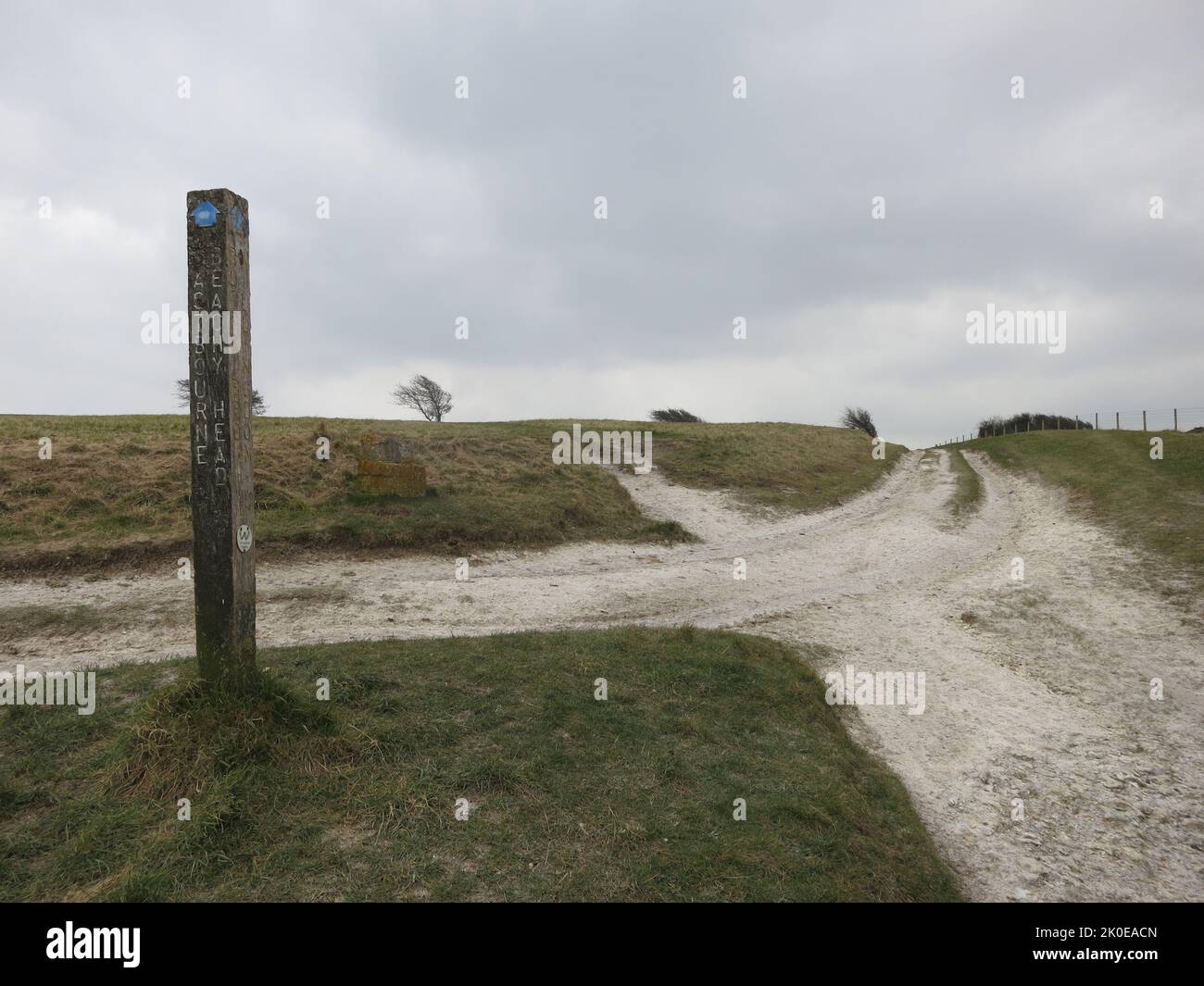 The South Downs Way National trail and park. long distance footpath ...