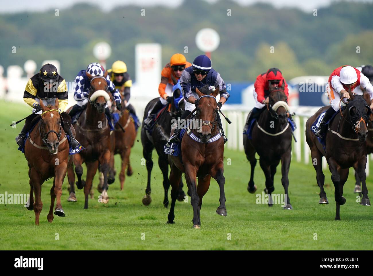 Chipstead racecourse hi-res stock photography and images - Alamy