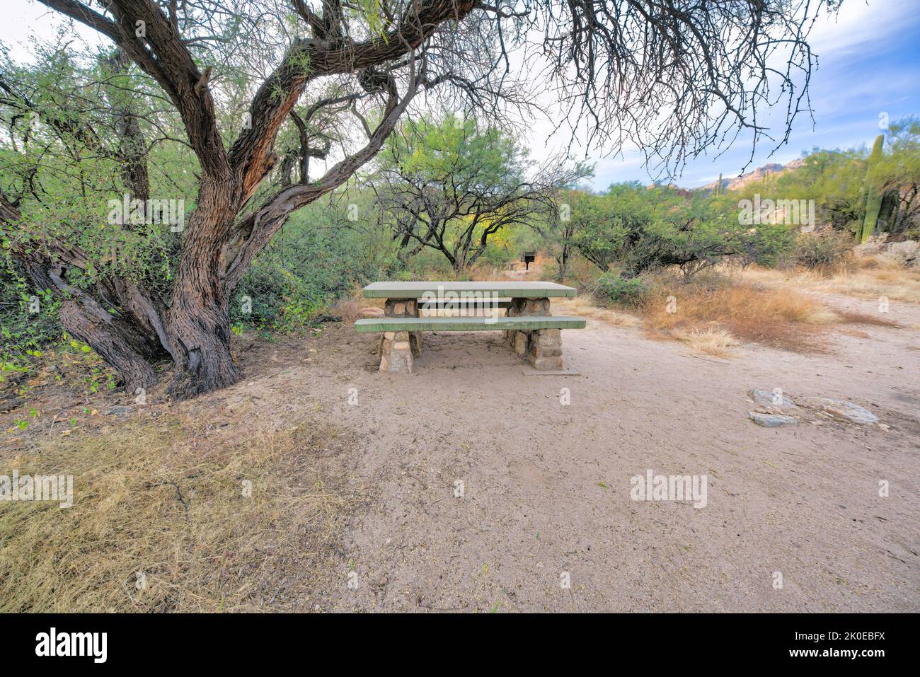 Camping table with seats beside a large tree at Sabino Canyon State ...