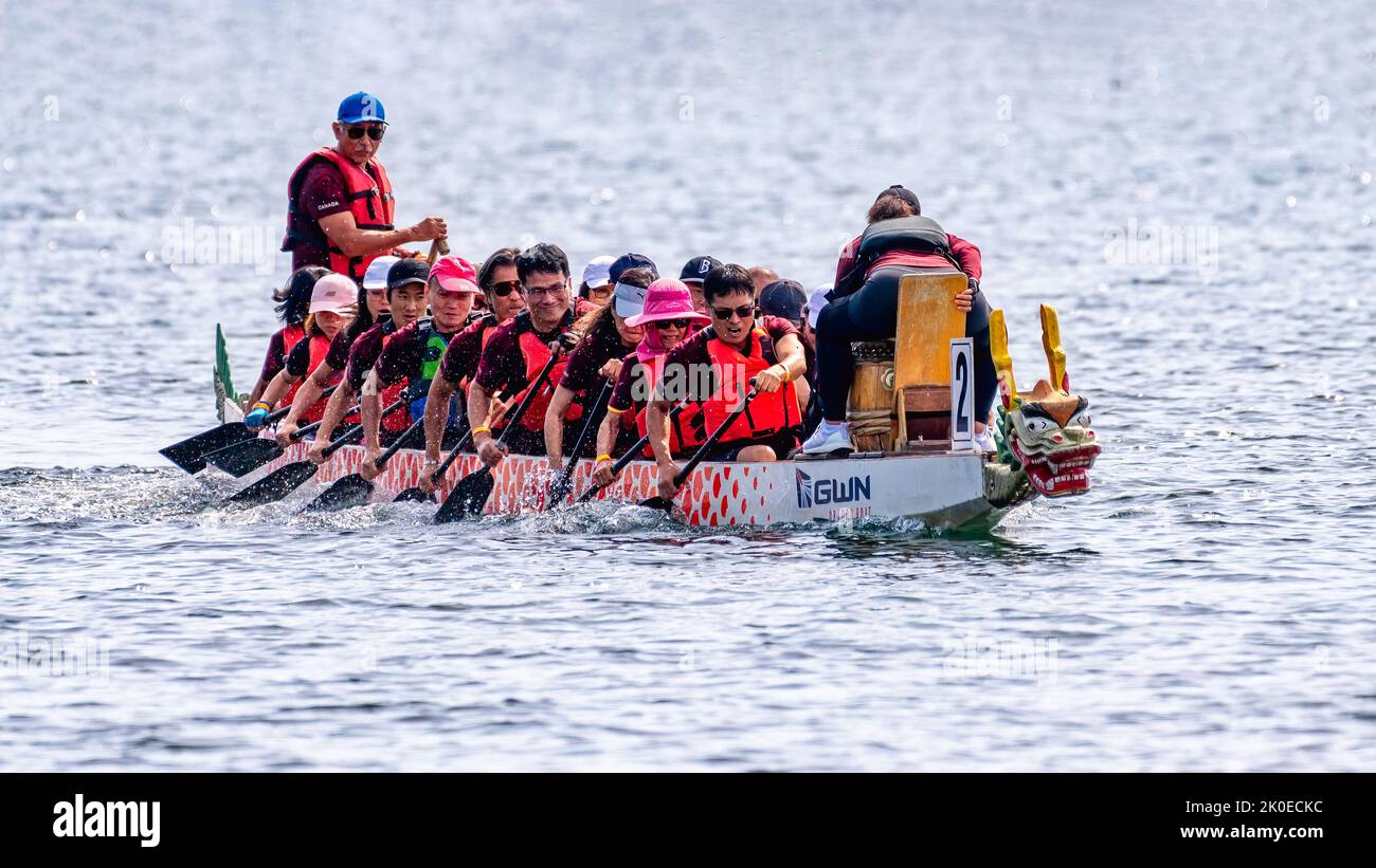 Toronto, Canada - September 10, 2022: A team paddles in a dragon boat ...