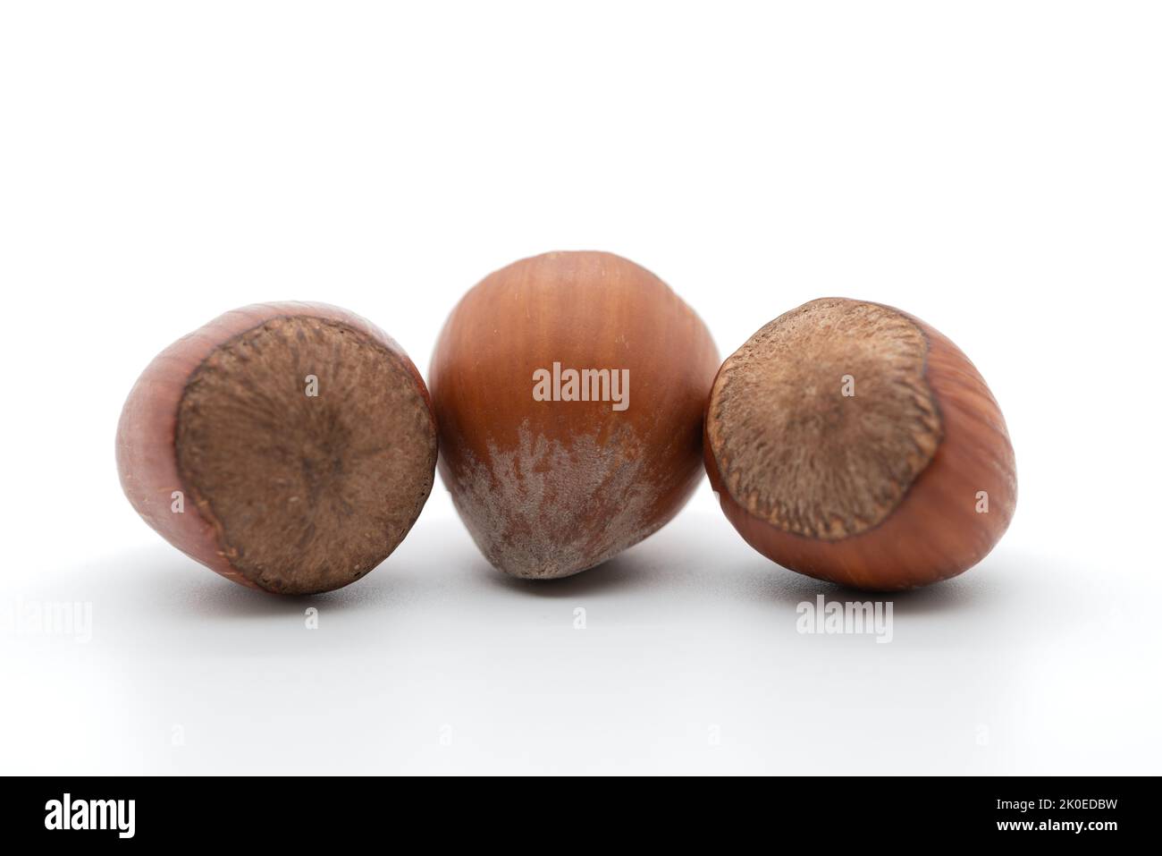 Hazelnuts on white background, cropped image Stock Photo - Alamy
