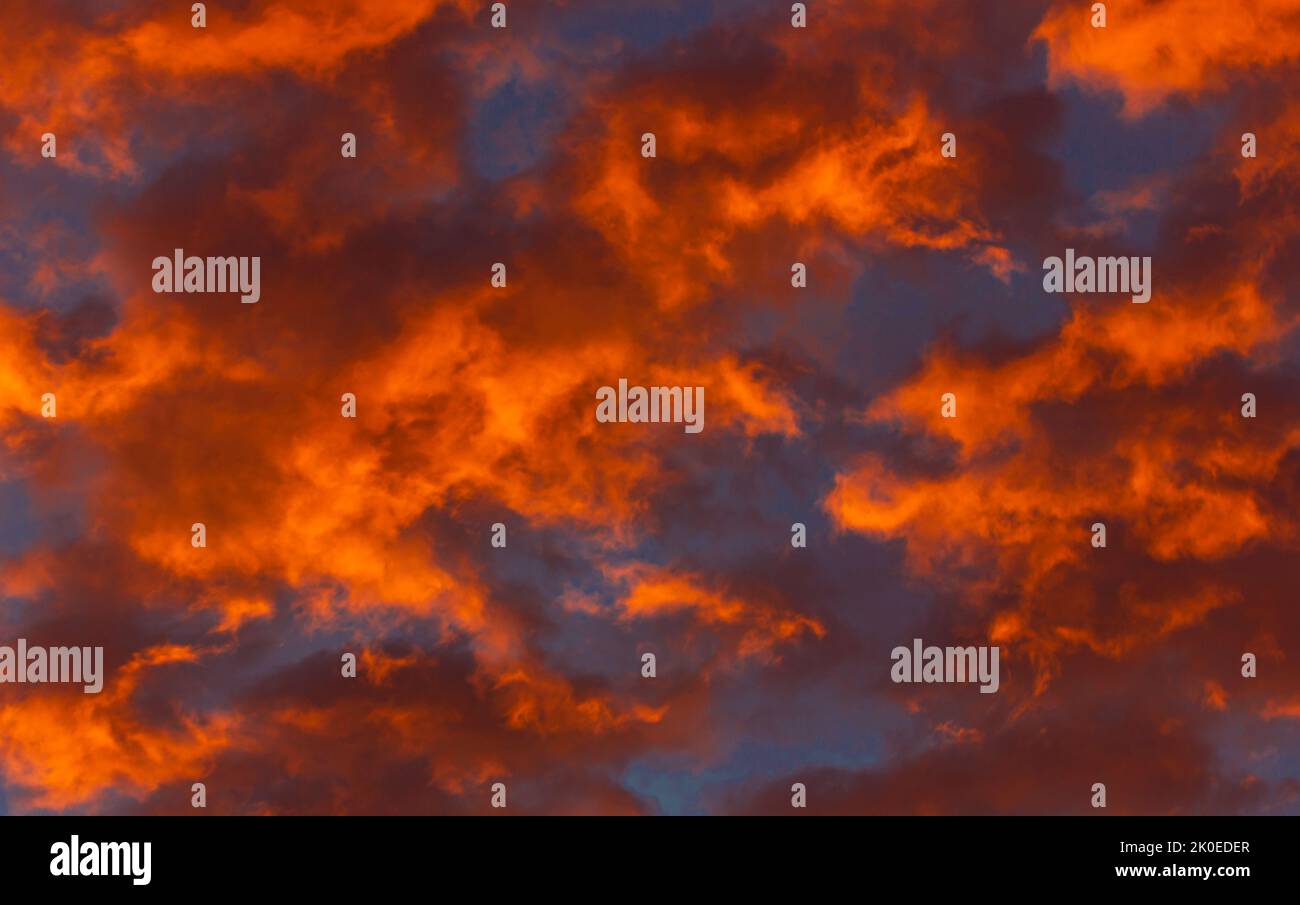 Fire red dawn sky forest hi-res stock photography and images - Alamy