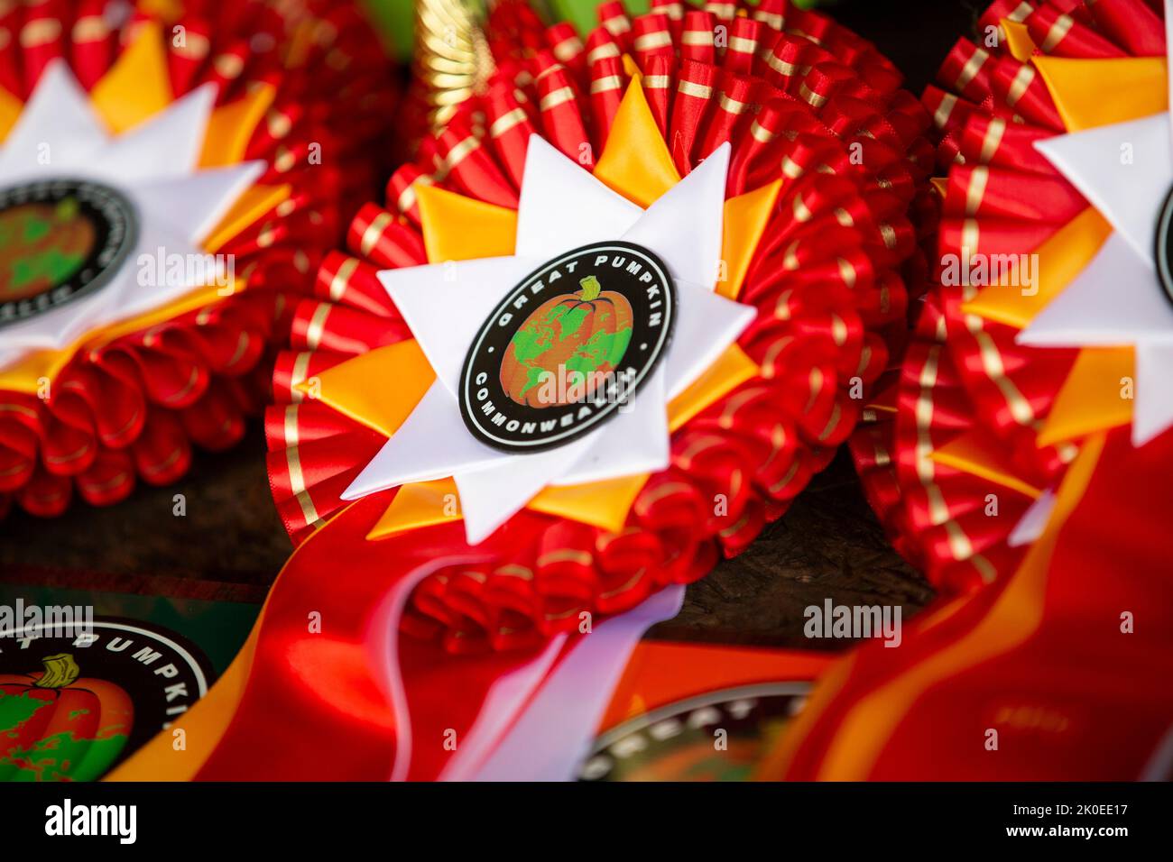 Lohmar, Germany. 11th Sep, 2022. Winning ribbons are on display at the ...