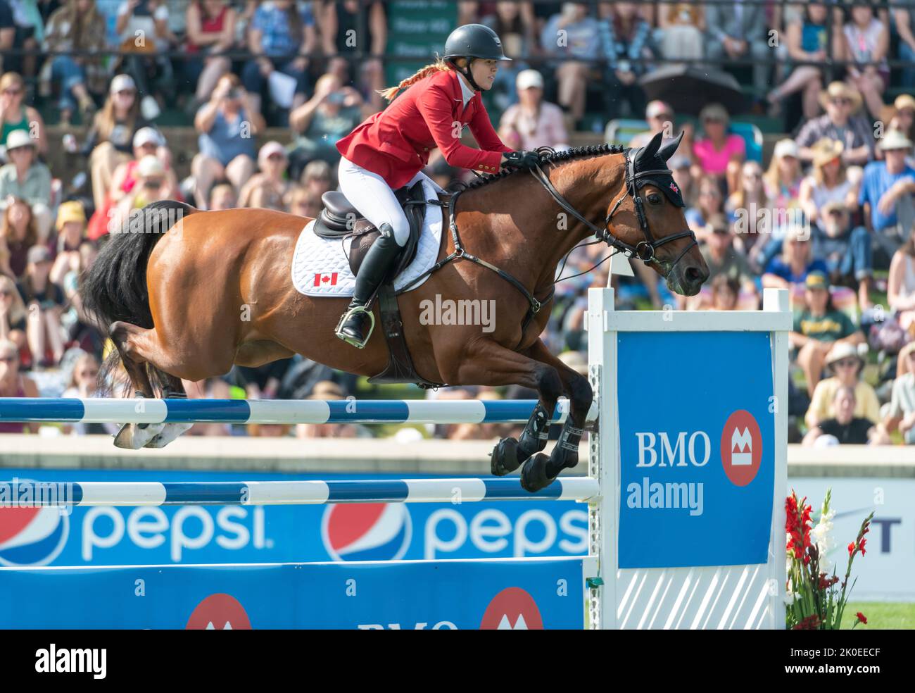 Jacqueline steffens daly hi-res stock photography and images - Alamy