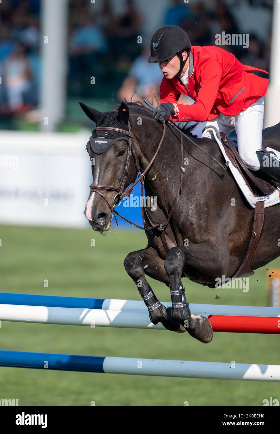 Calgary, Alberta, Canada, 2022-09-10, Edouard Schmitz (SUI) Quno, CSIO ...