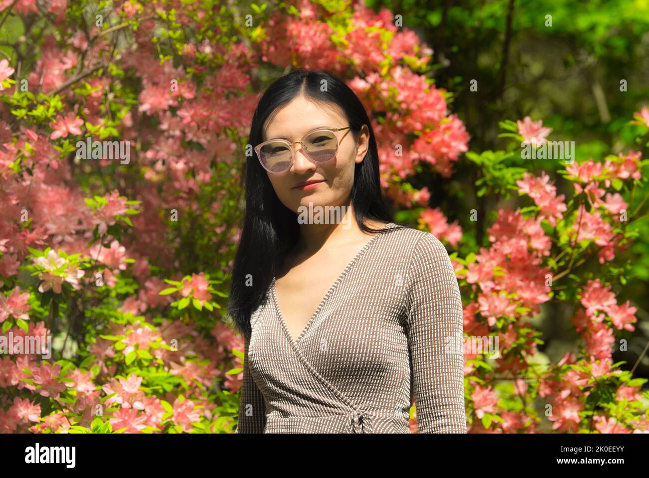 A happy chinese woman standing near a pink azalea bush in a garden on ...