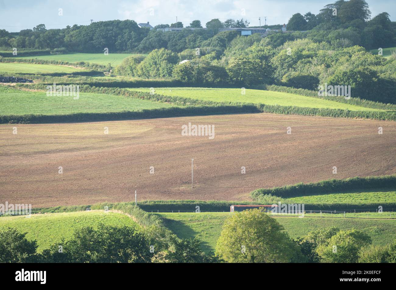 Thick application of farmyard manure on field prior to ploughing ...
