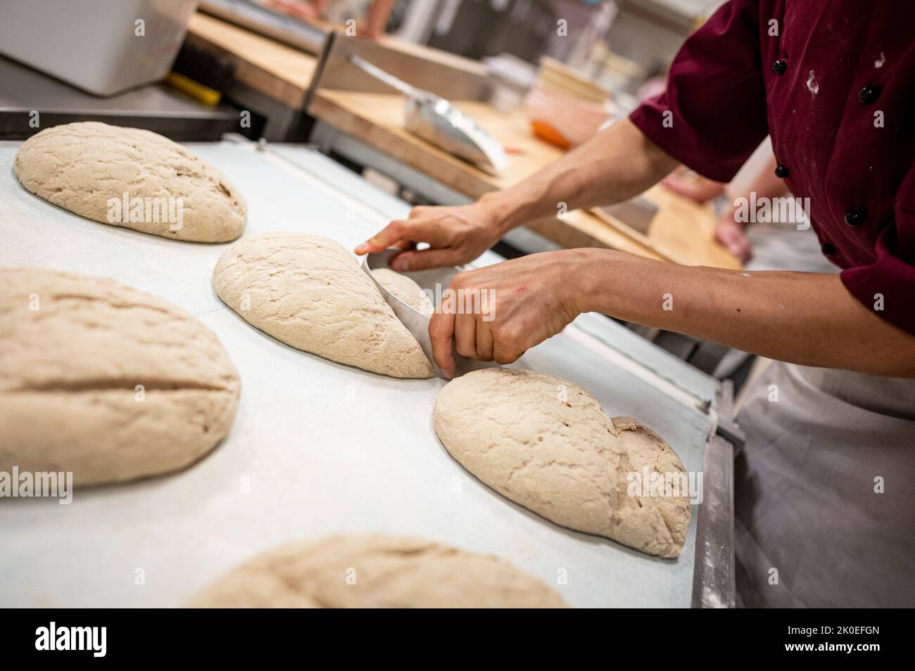 Berlin, Germany. 08th Sep, 2022. A person works on a loaf of bread in ...