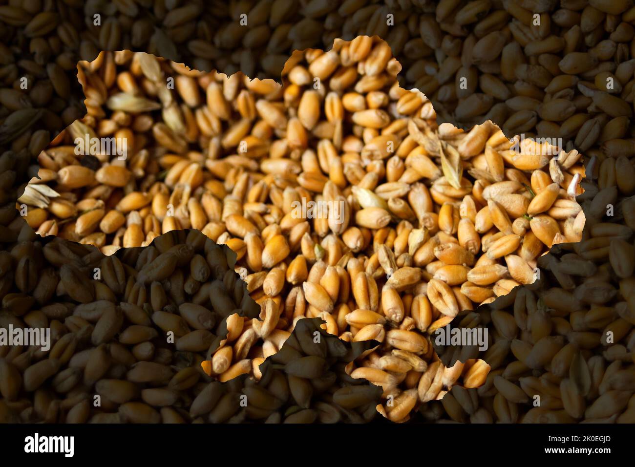 Defocus food crisis. Ukraine map. Global and European grain and wheat ...
