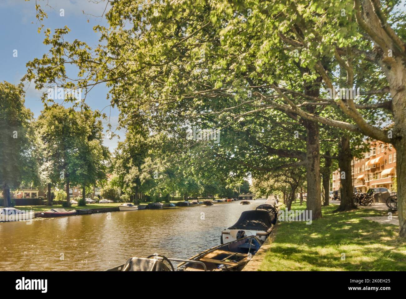 View of street near building with beauty of vegetation and river Stock ...