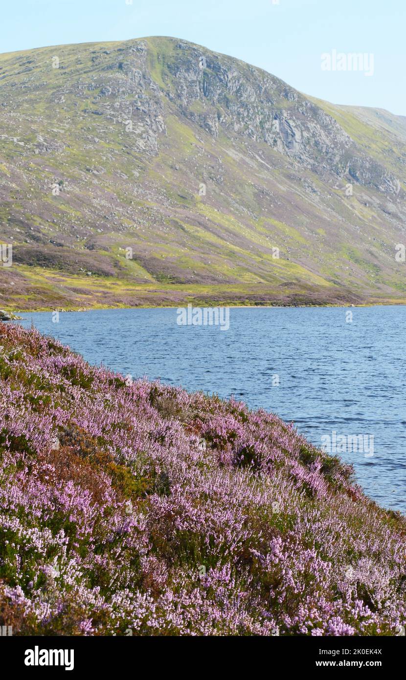Loch Callater near Braemar, a Site of Special Scientific Interest ...