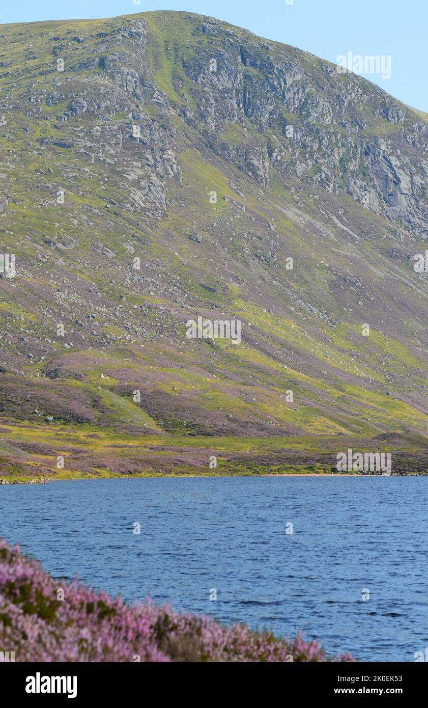 Loch Callater near Braemar, a Site of Special Scientific Interest ...