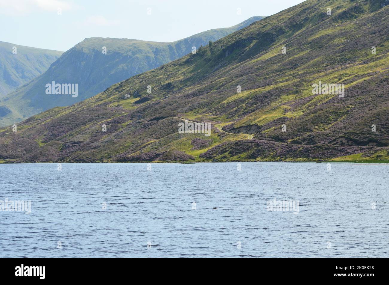 Loch Callater near Braemar, a Site of Special Scientific Interest ...