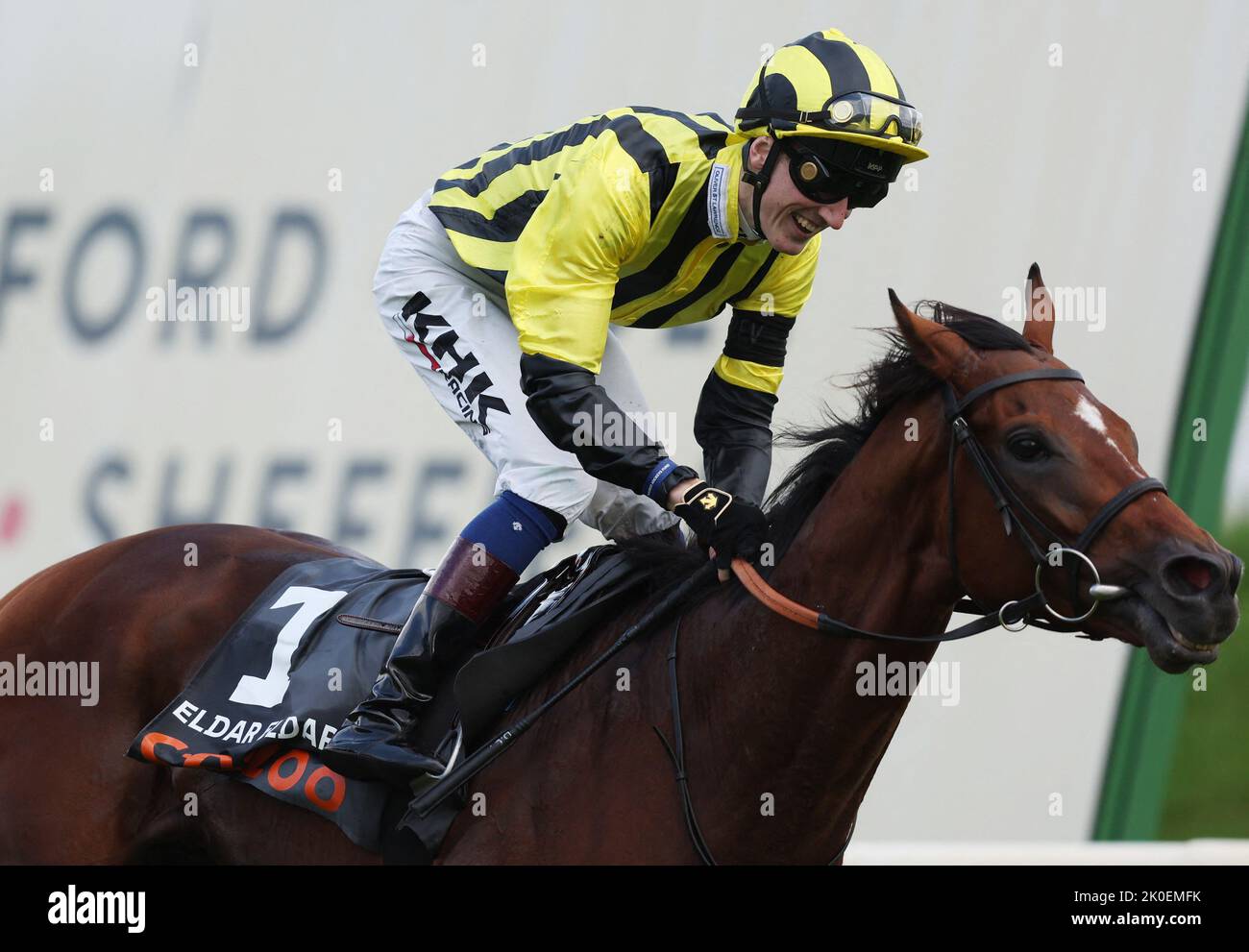 Eldar horse hi-res stock photography and images - Alamy