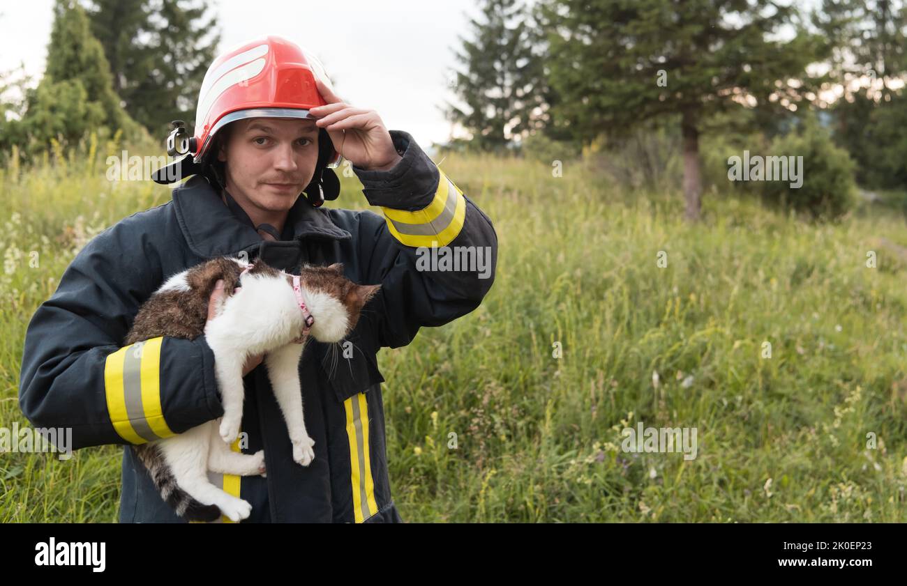 Cat fire engine hi-res stock photography and images - Alamy
