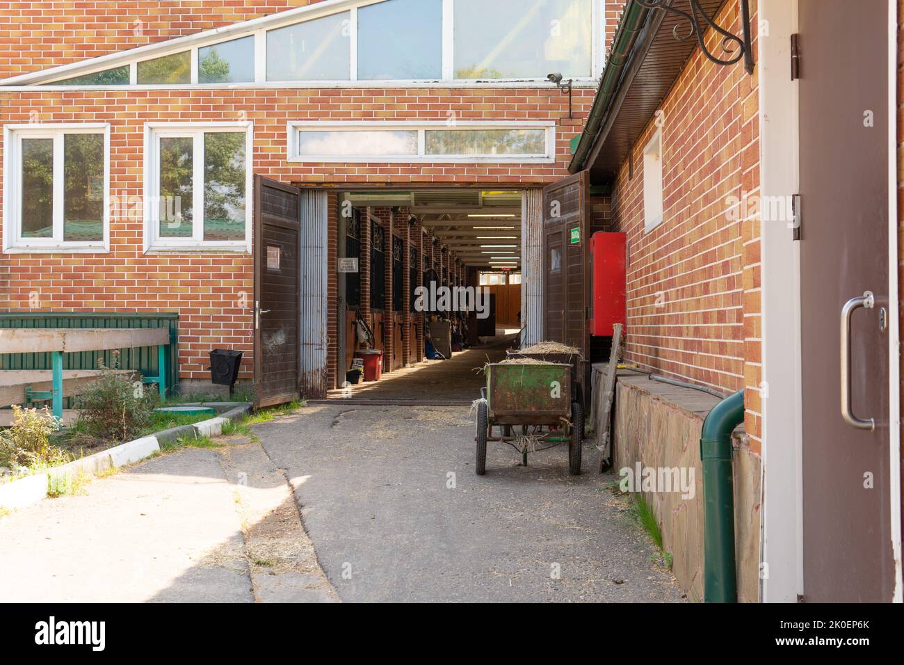 Stable equestrian farm horse stall animal equine barn summer, for brown ...