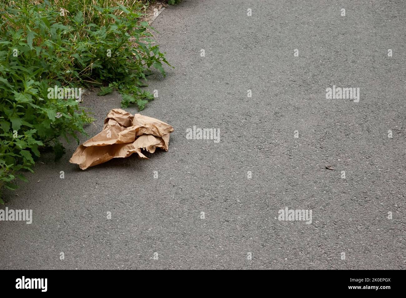 a crumpled piece of brown kraft paper lies on the asphalt next to the ...