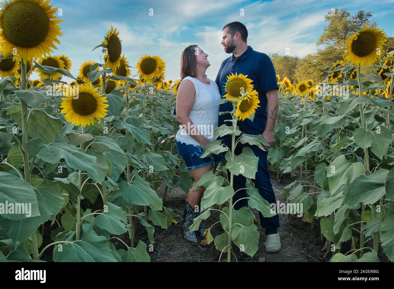 Man in blue shirt gazing into the eyes of a woman in a white shirt ...