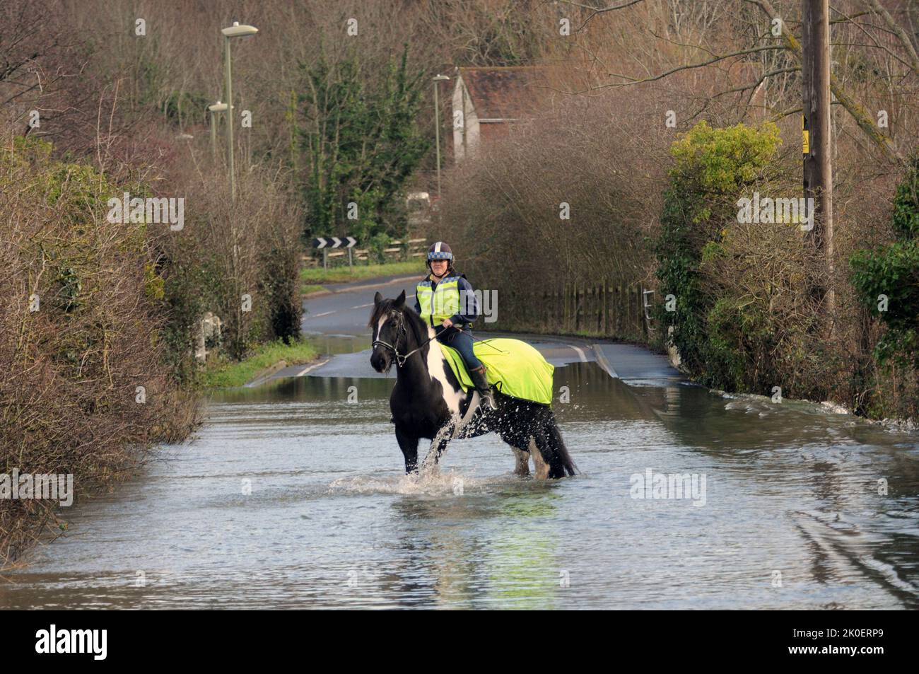 A HORSE AND RIDER CROSS A FLOODED ROAD AT TITCHFIELD HANTS WHERE THE ...