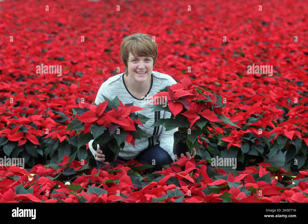 Walker brothers hi-res stock photography and images - Alamy