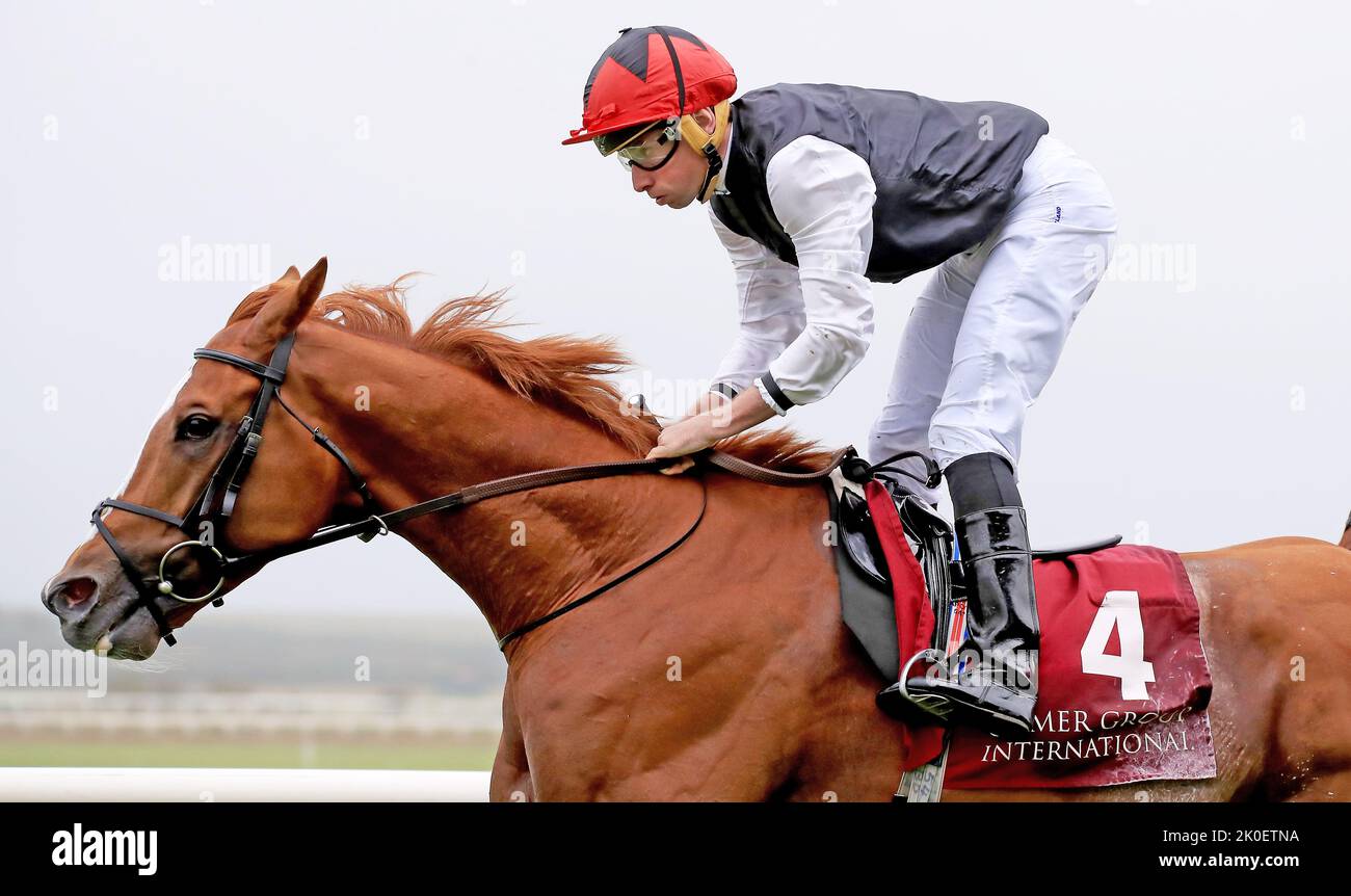 Kyprios irish st leger hi-res stock photography and images - Alamy