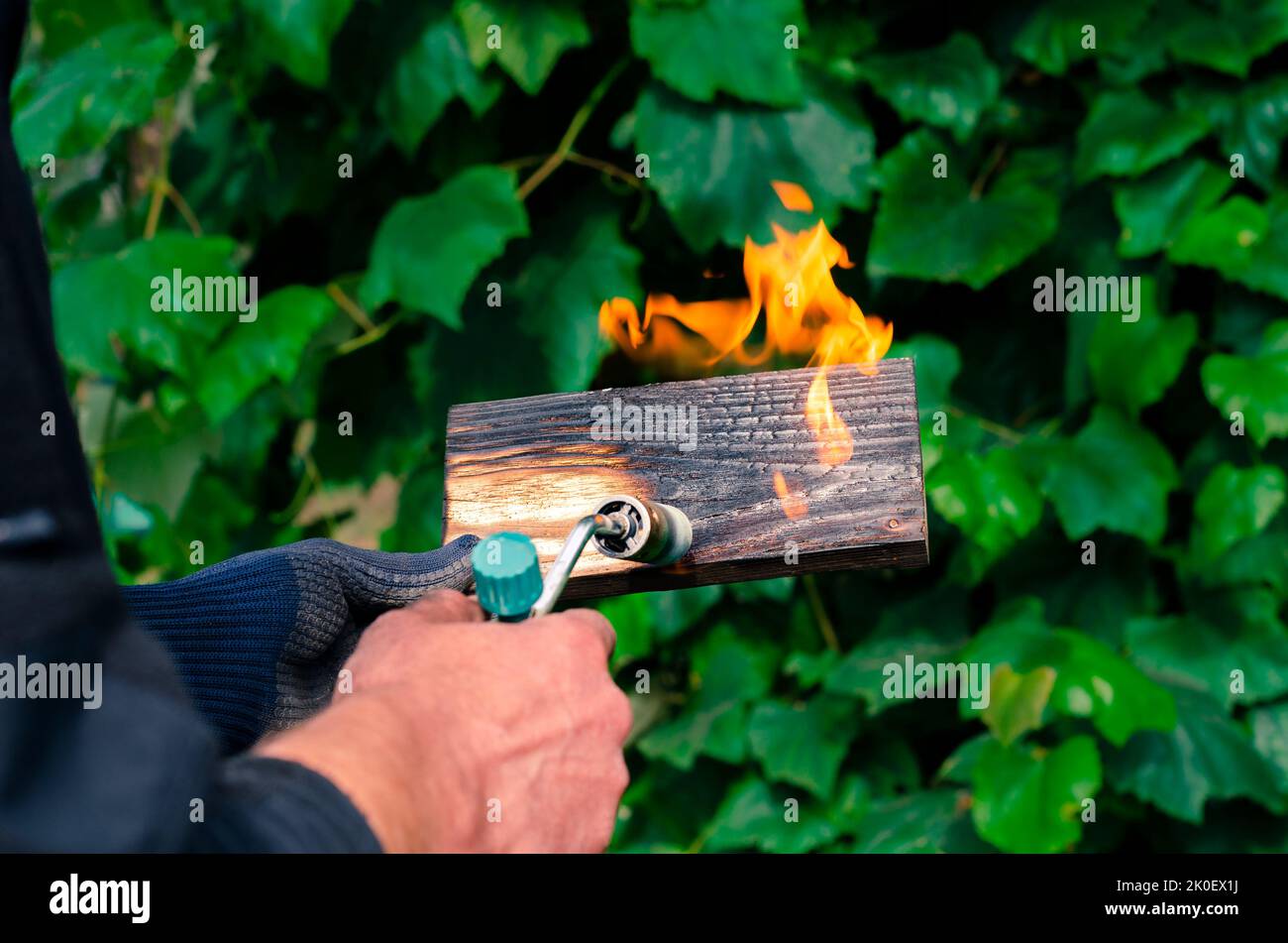 Professional carpenter using old traditional technique. Burning wood ...