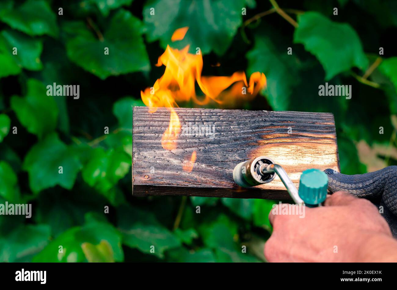 Professional carpenter using old traditional technique. Burning wood ...