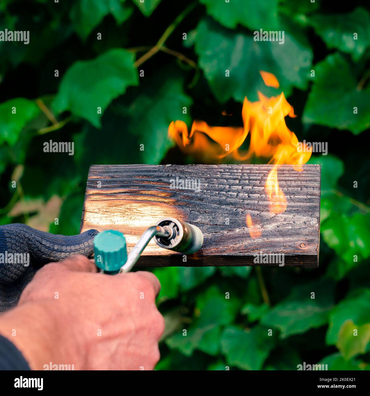 Professional carpenter using old traditional technique. Burning wood ...