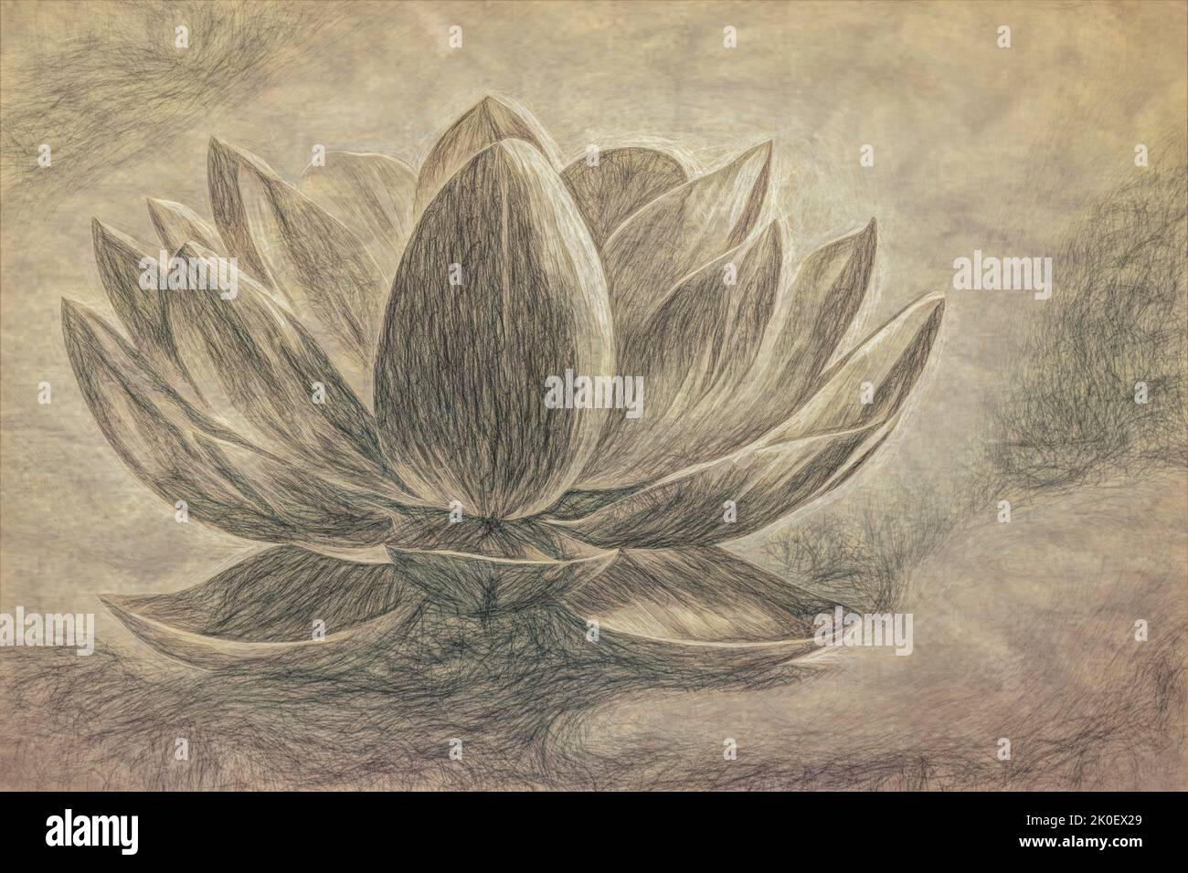Beautiful lotus flower on abstract background and mosaic structure ...