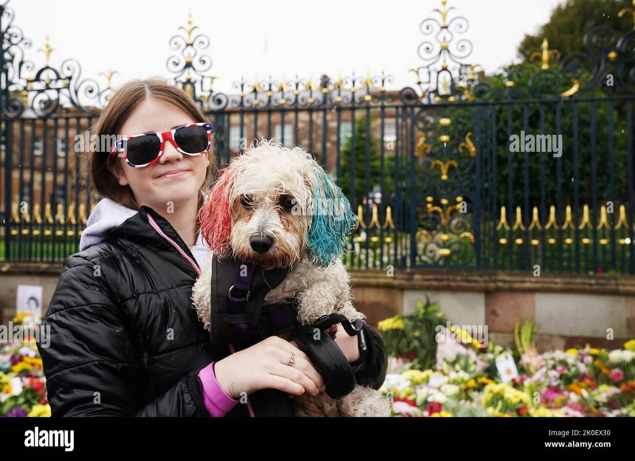 Emma McConnell, from Portadown, with her dog Honey, at Hillsborough ...
