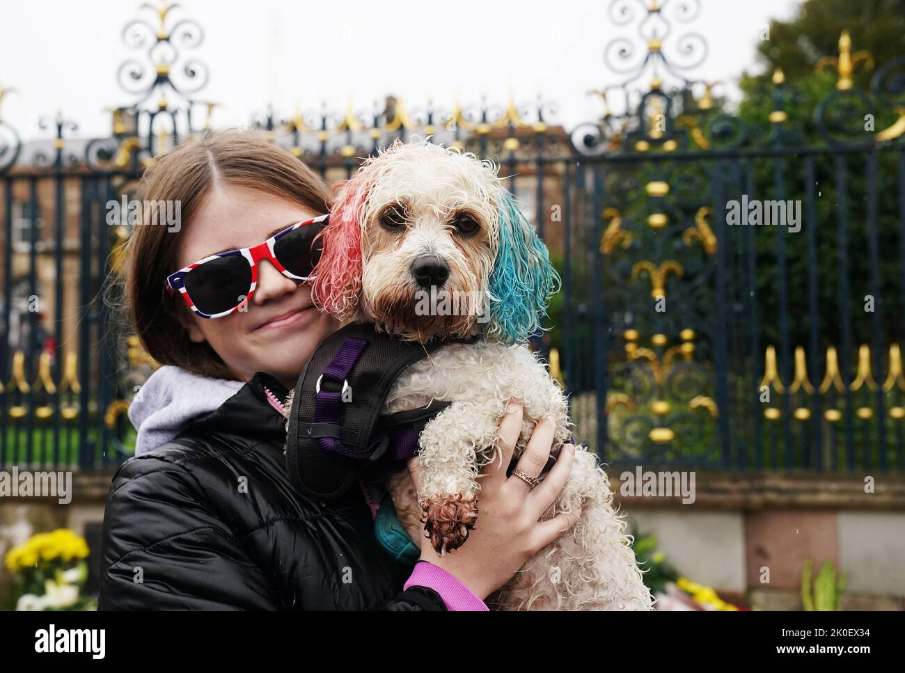 Emma McConnell, from Portadown, with her dog Honey, at Hillsborough ...