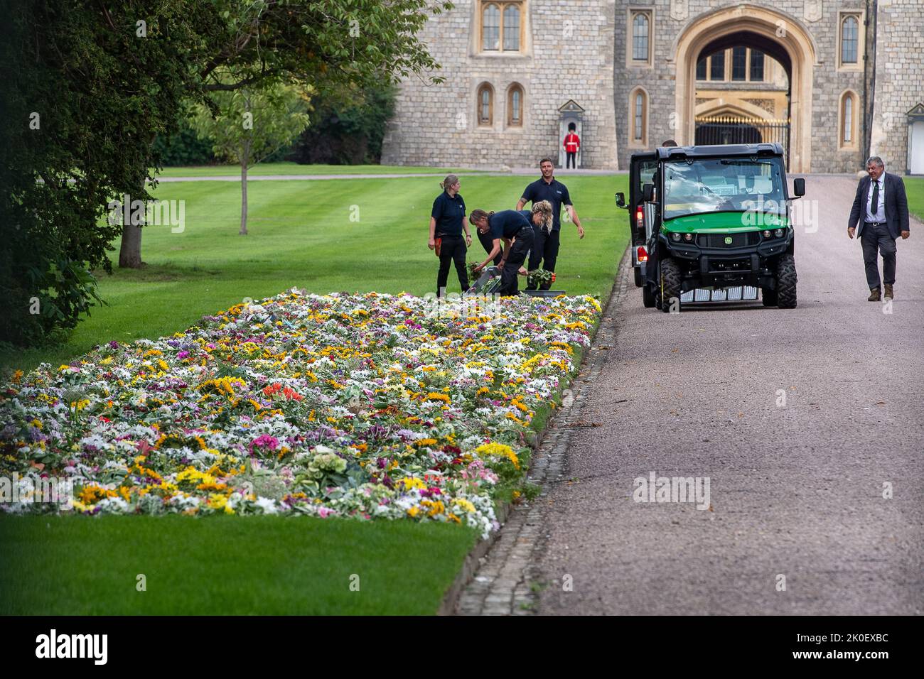 Maureen flowers hi-res stock photography and images - Alamy