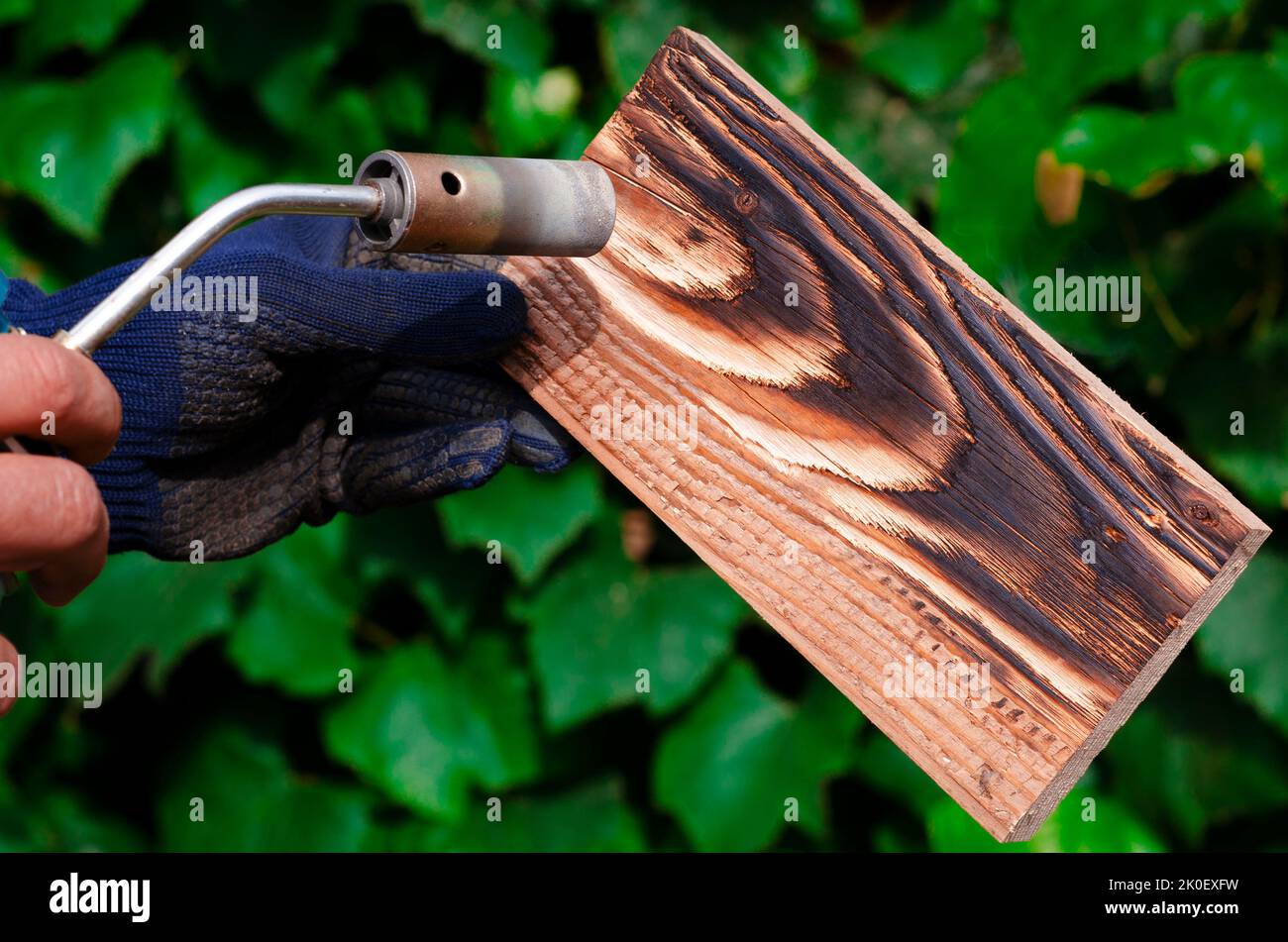 A man burns boards with fire from a gas burner. Wood processing for ...