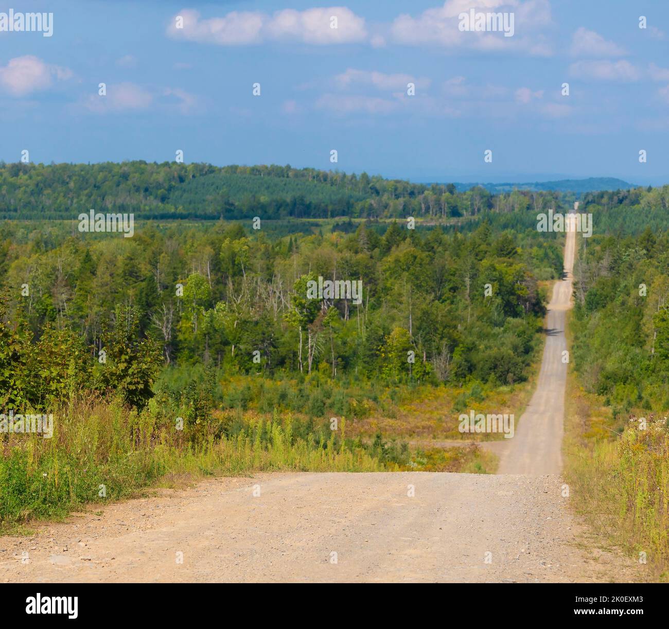 Straight dirt road running through a remote Maine forest Stock Photo ...