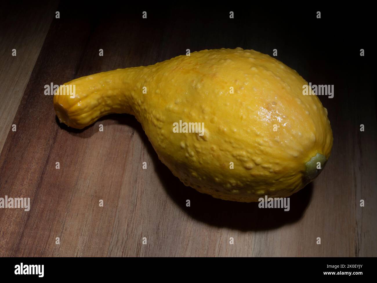 Freshly picked yellow squash on a butcher block Stock Photo - Alamy