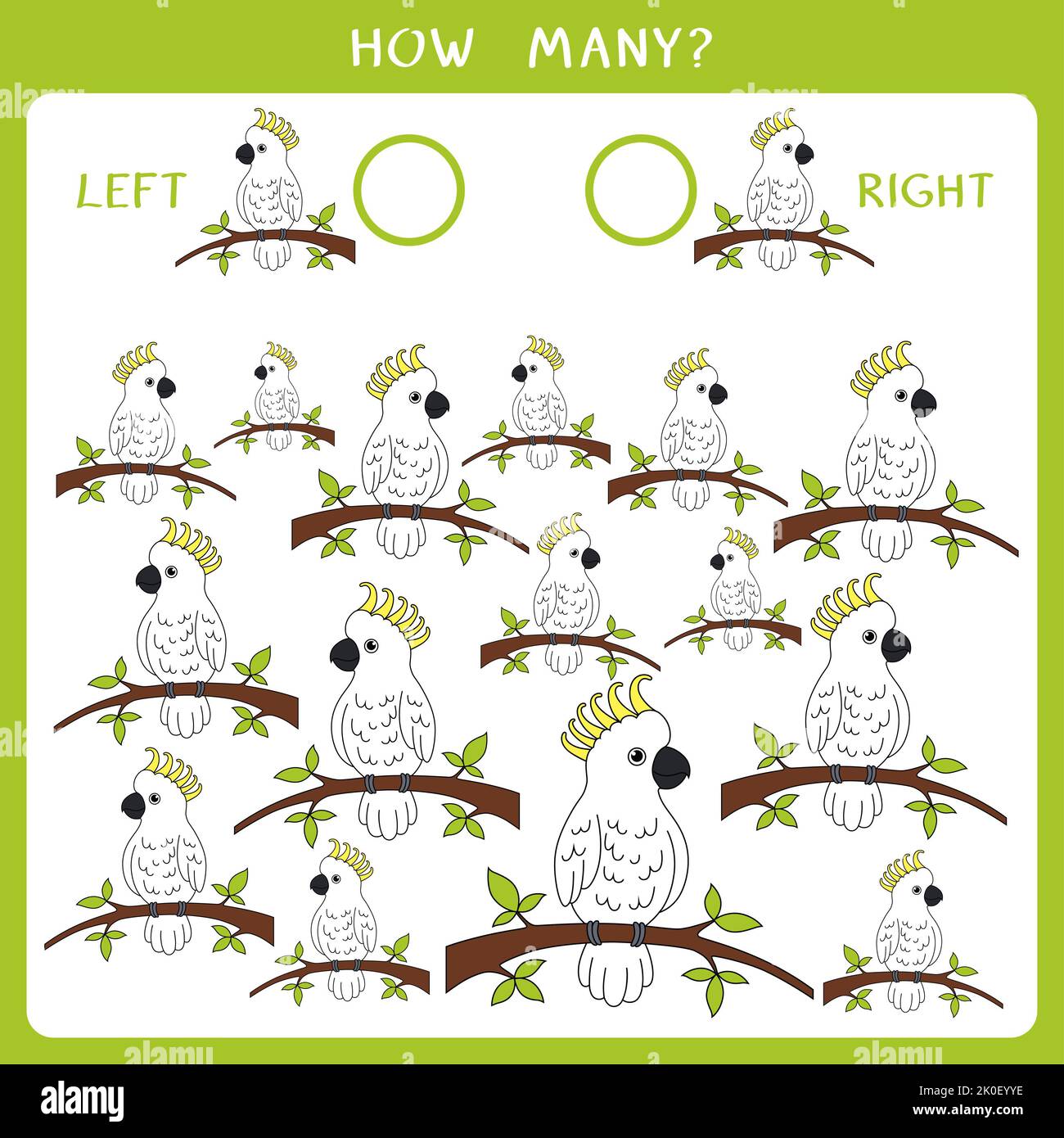 Count how many birds look to the left and to the right and write the ...