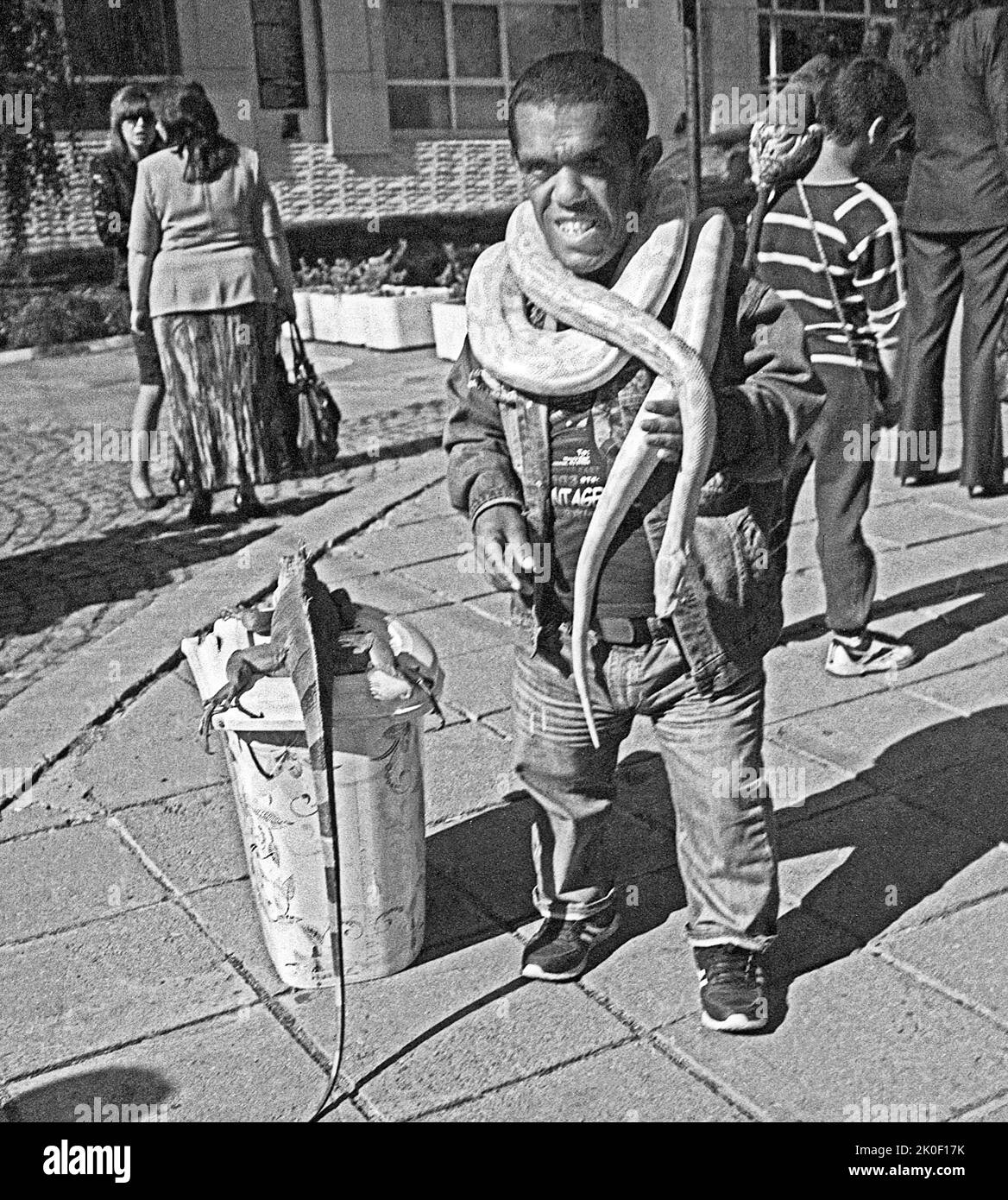 Feast of the town of Radomir. Bulgaria. Day of St. Demetrius ...