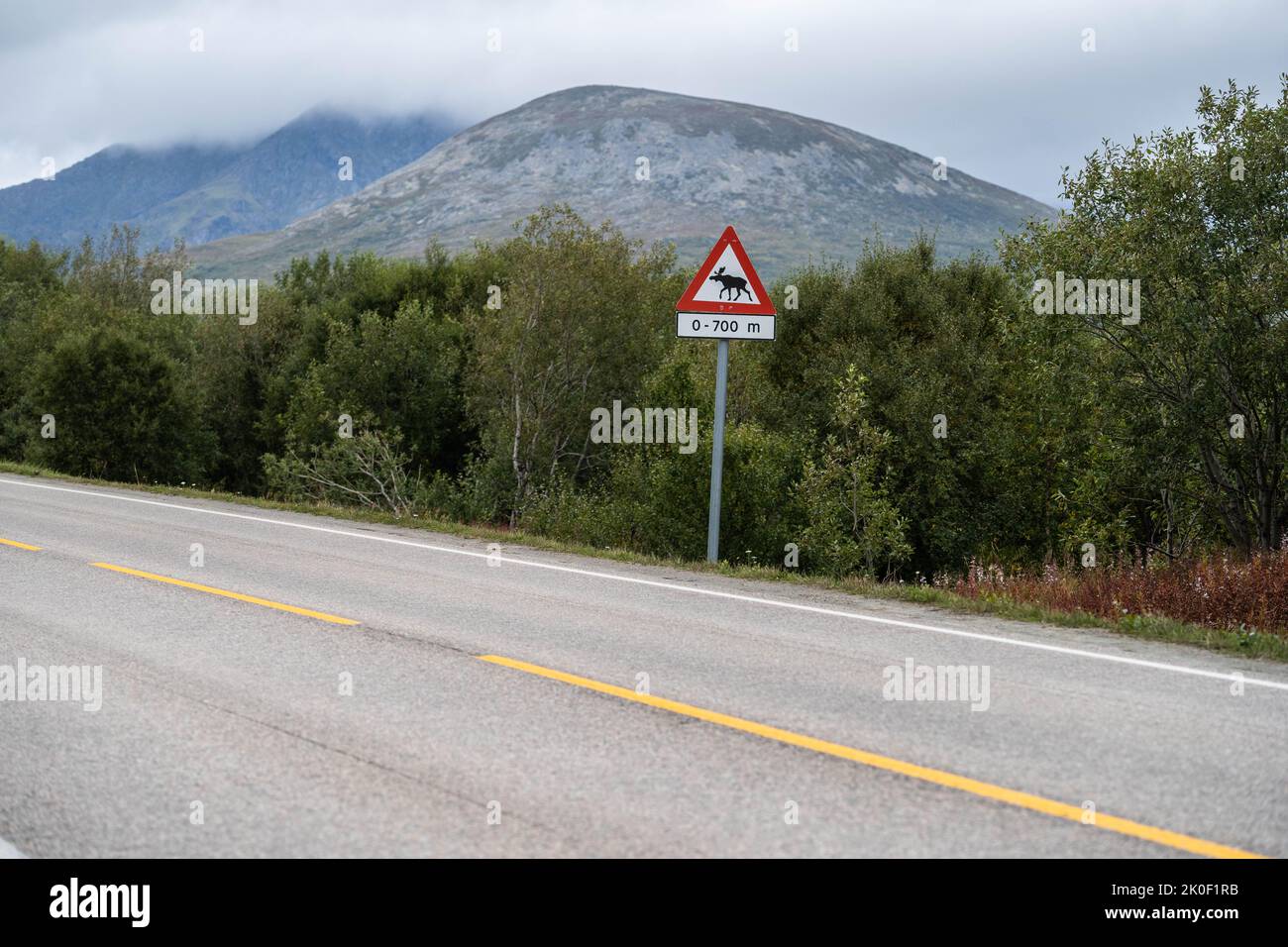 Road sign signaling moose in Lofoten, Norway Stock Photo - Alamy