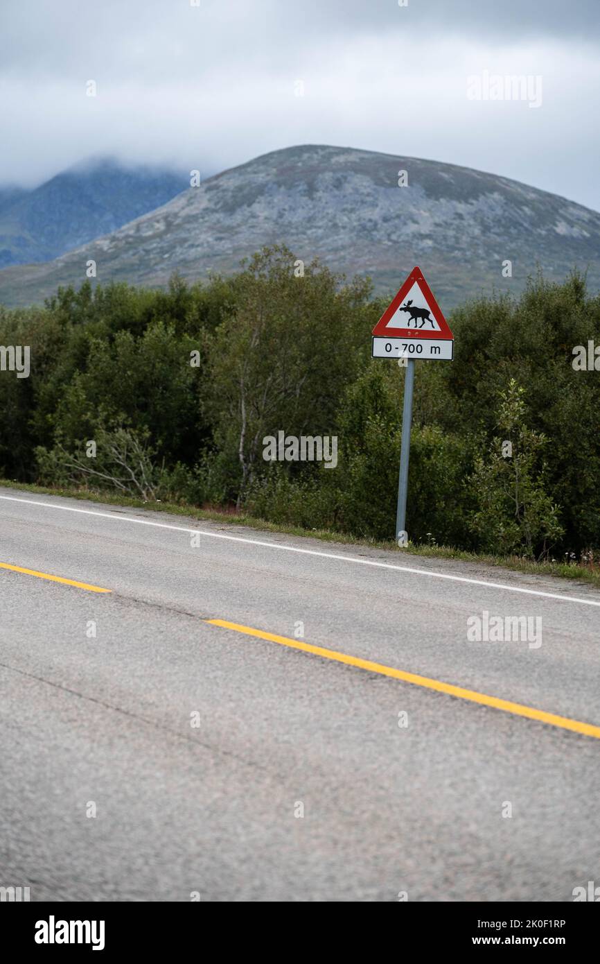 Road sign signaling moose in Lofoten, Norway Stock Photo - Alamy