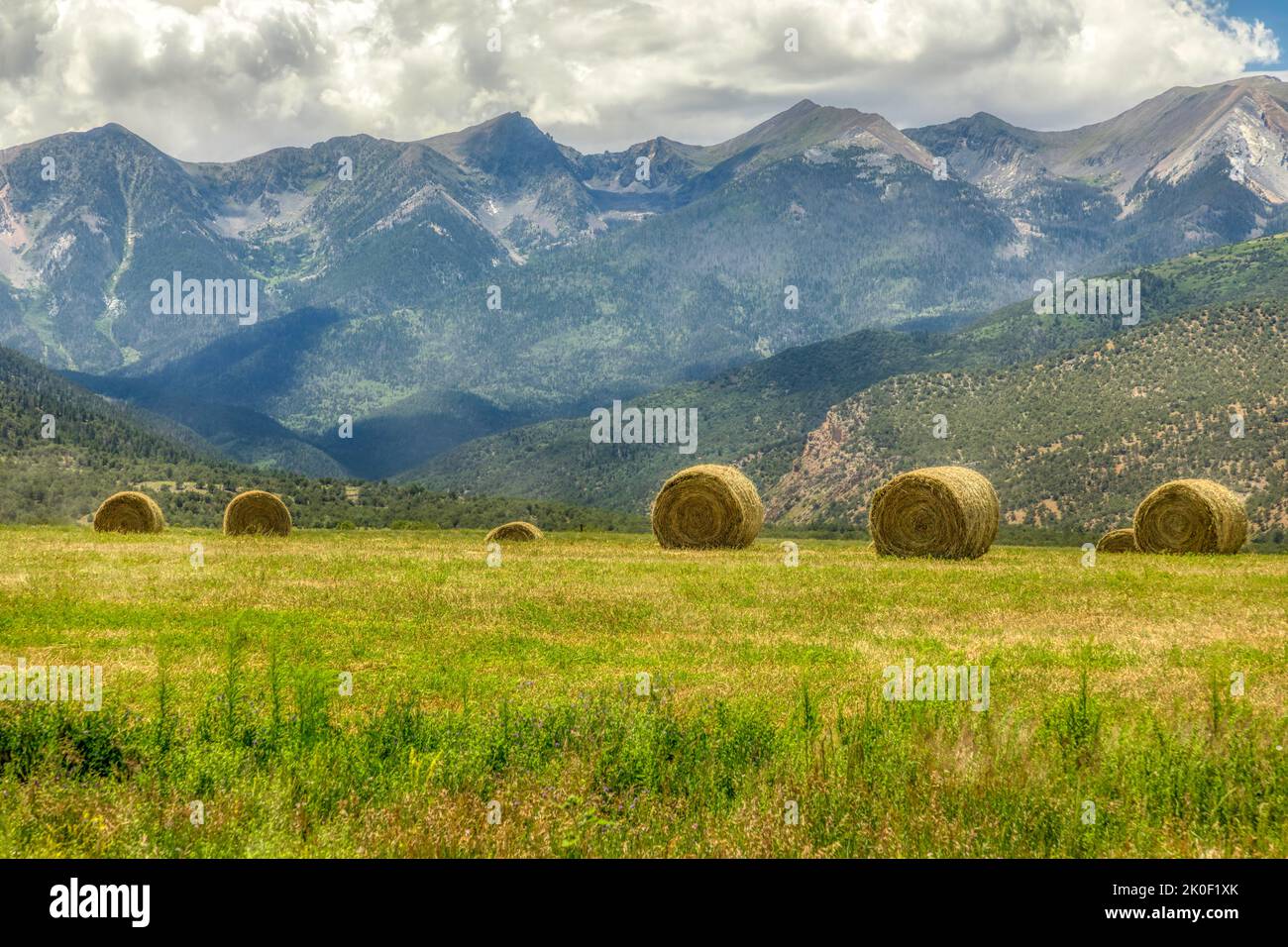 Summer scenery in the southwestern corner of Colorado Stock Photo - Alamy