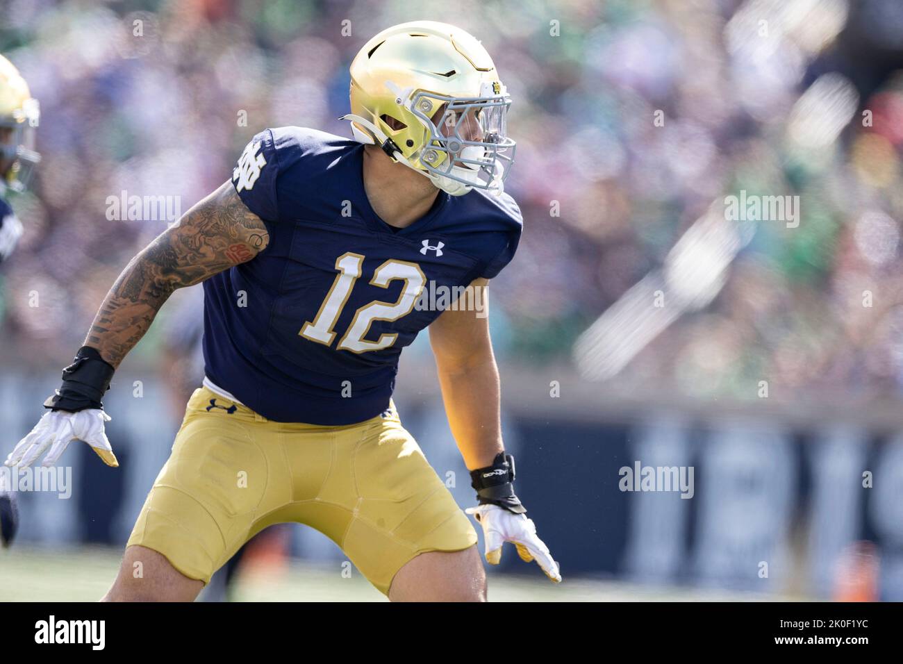 South Bend, Indiana, USA. 10th Sep, 2022. Notre Dame linebacker Jordan ...